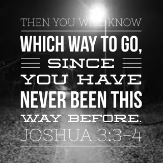 I’ve Never Been This Way Before – Gail Johnsen