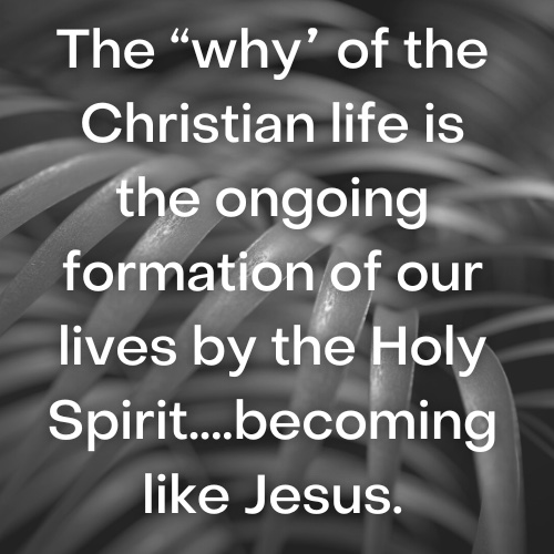 Day #11 A God-Fashioned Life – Part 3 – Gail Johnsen